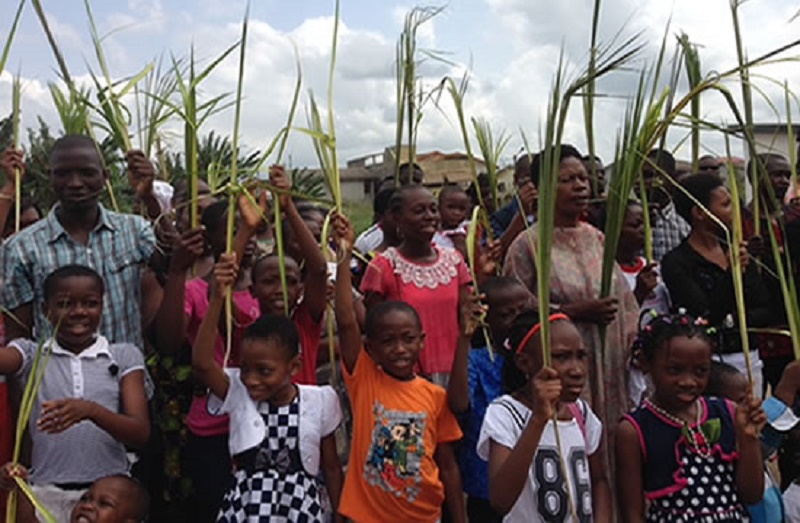 Célébration de la fête des Rameaux : Sens et origine - Ichretien.com